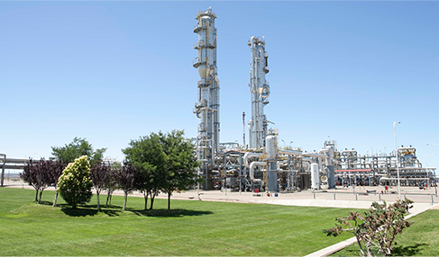 Proceso Productivo y Comercial